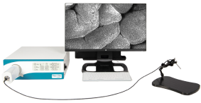 Products | Optiscan Imaging Ltd